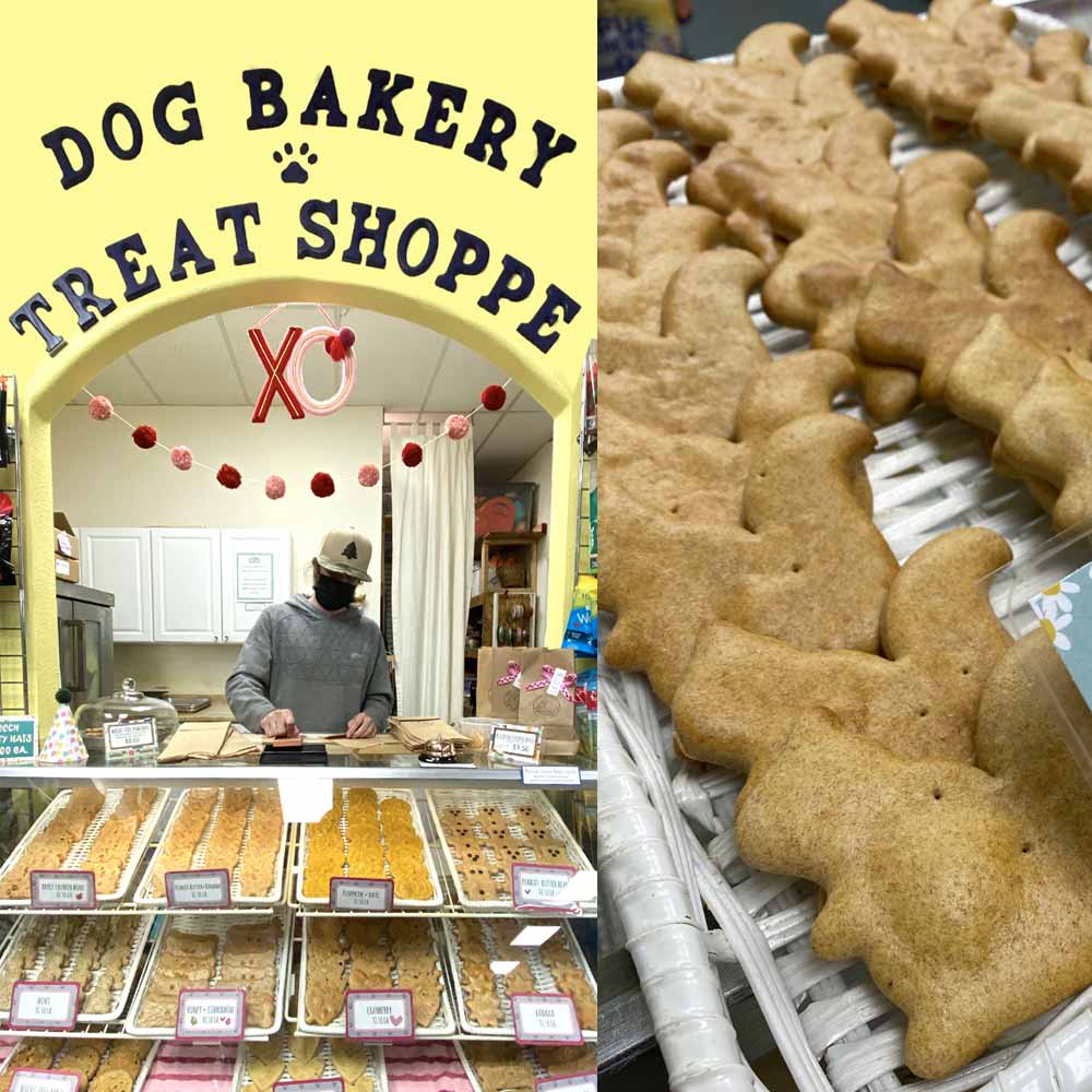 Scraps Dog Bakery at Mountain Mutts
